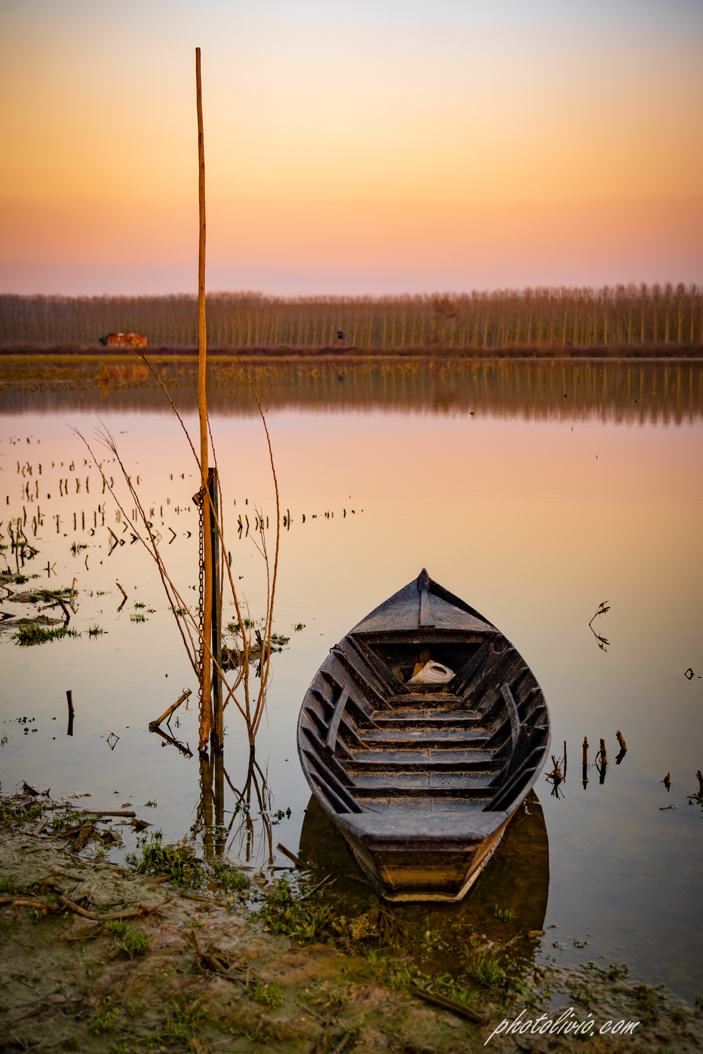 PADULE DI FUCECCHIO | photolivio.come
